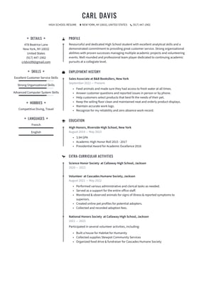 Babysitter Resume Examples Writing Tips 2023 Free Guide 