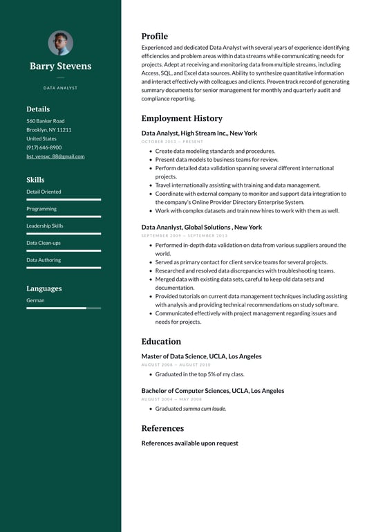 Data Analyst Resume Sample Word Terrysemad