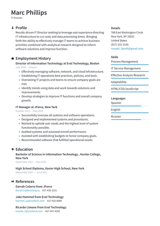 IT Director Resume Examples Writing Tips 2023 Free Guide 