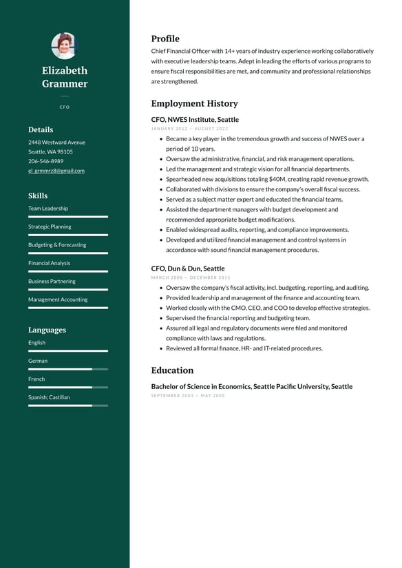 financial planner cv