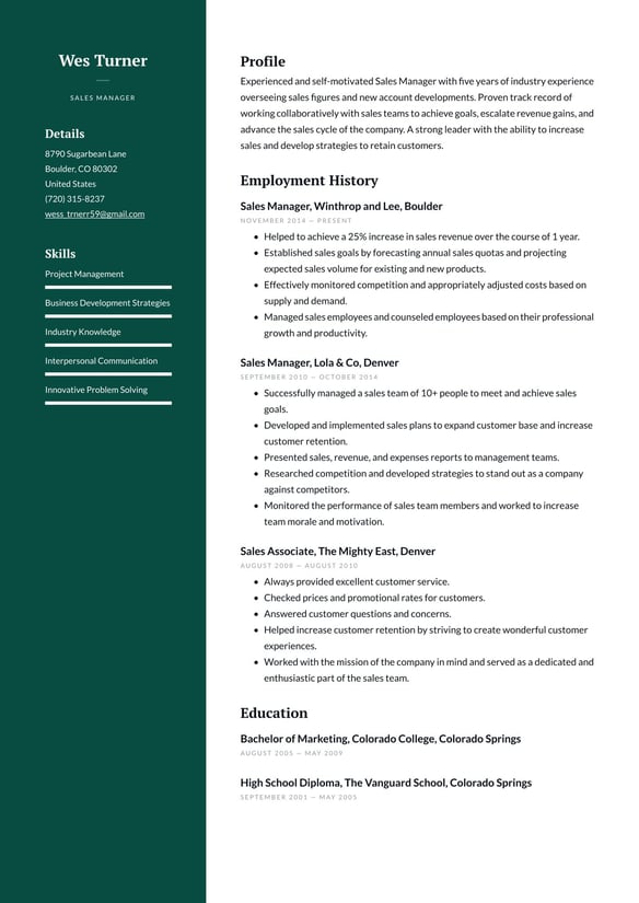 cv business example
