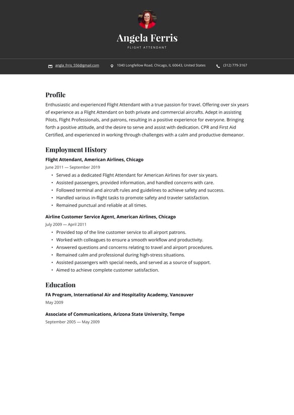professional pilot resume examples