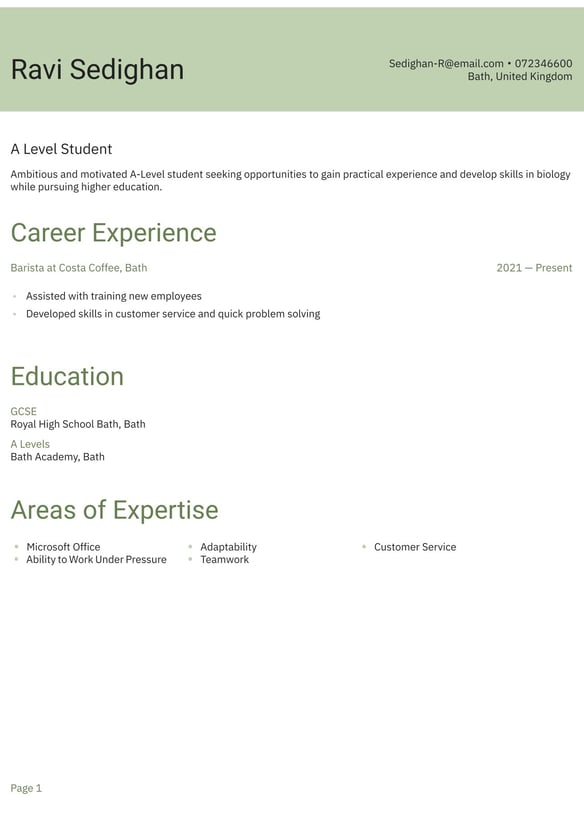 internship cv examples uk