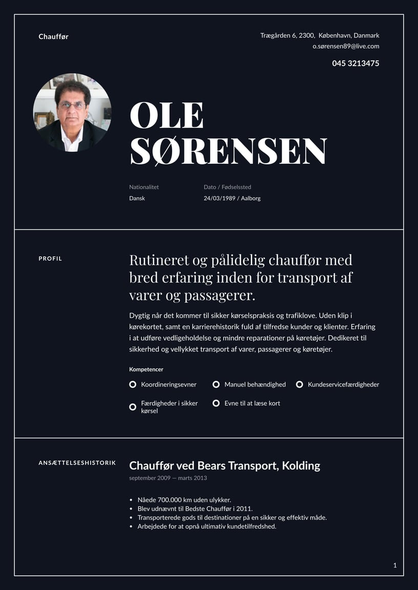 Opret dit jobvindende CV - (Gratis) Skabelon · CV.dk