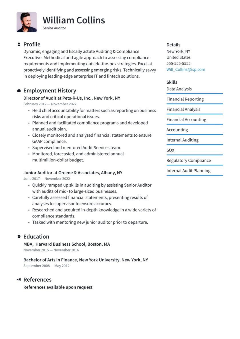 Staff Auditor Resume Professional Auditor Resume Examples