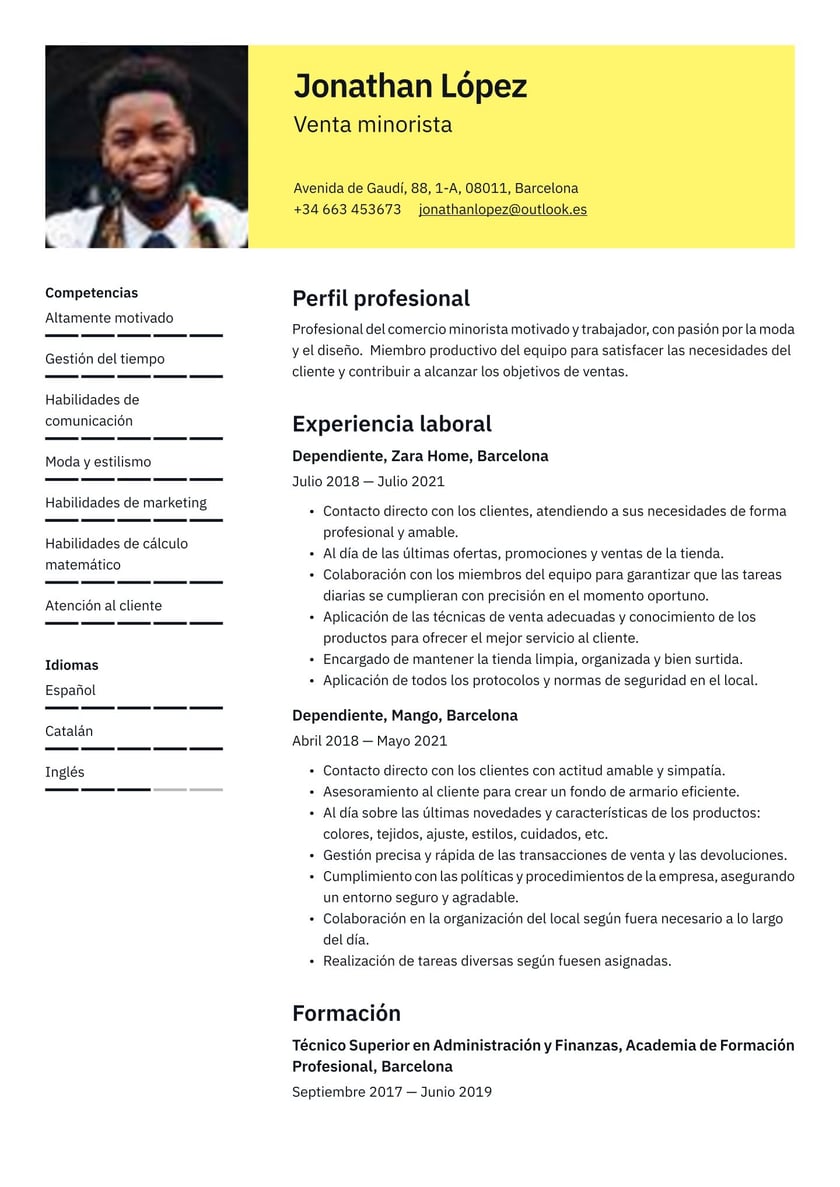 Modelo De Curriculum Vitae Profesional Para Trabajo 2021