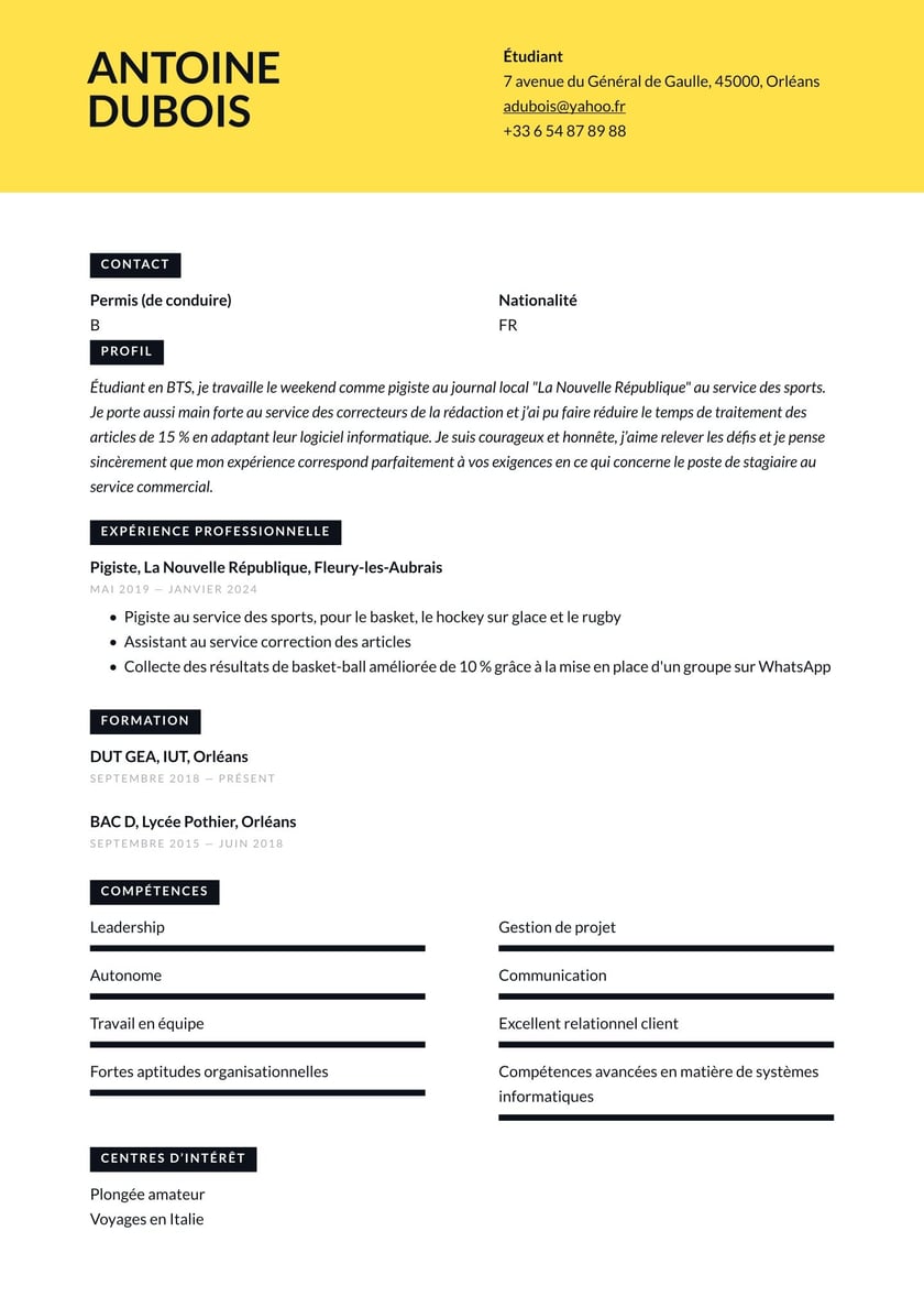 13exemple De Cv Tudiant Modele Cv 11 Exemples De CV Professionnel