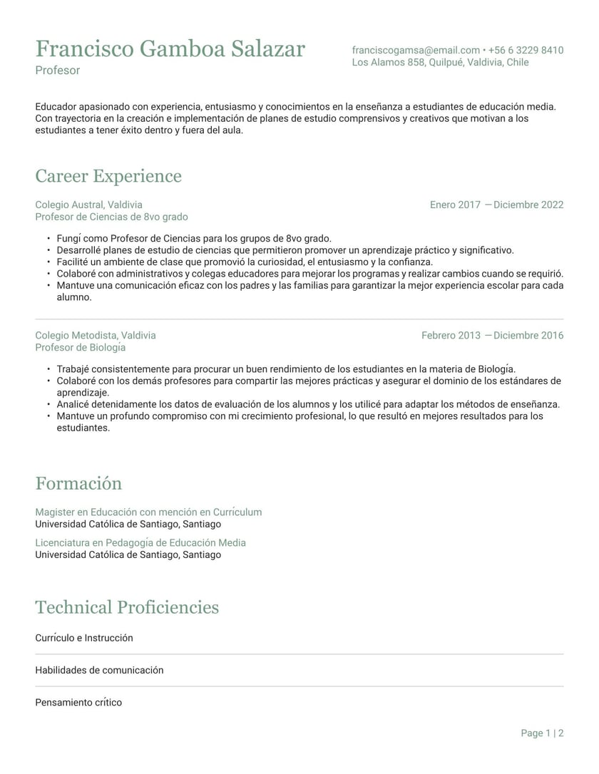 Plantilla De Curriculum Vitae Docente Profesional Plantillas De