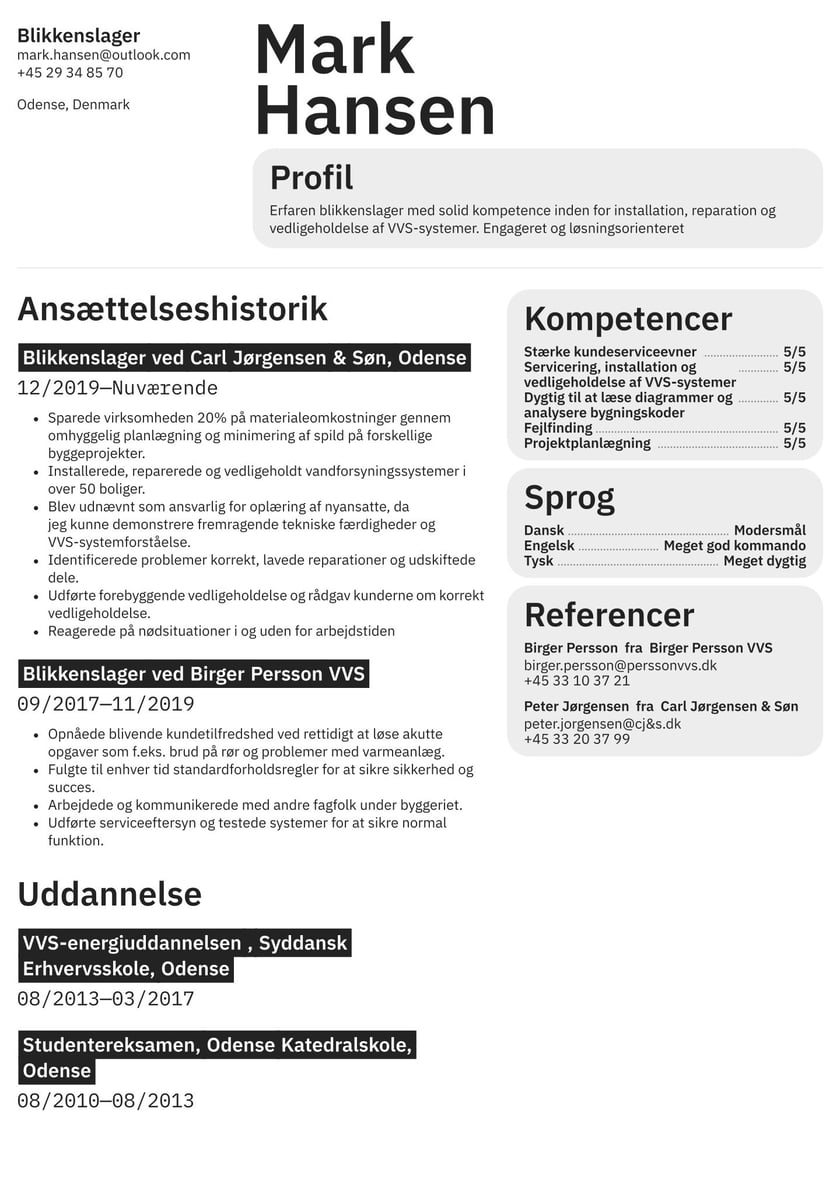 Eksempler På Pennskriving ≡ Profesjonelle CV Eksempler [2022]