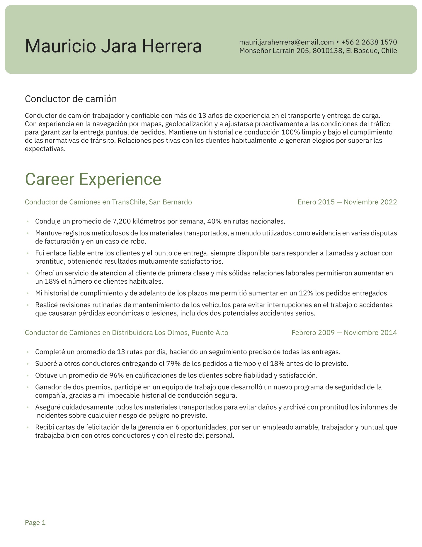 Modelo Curriculum Vitae Conductor Profesional Armate Tu Curriculum