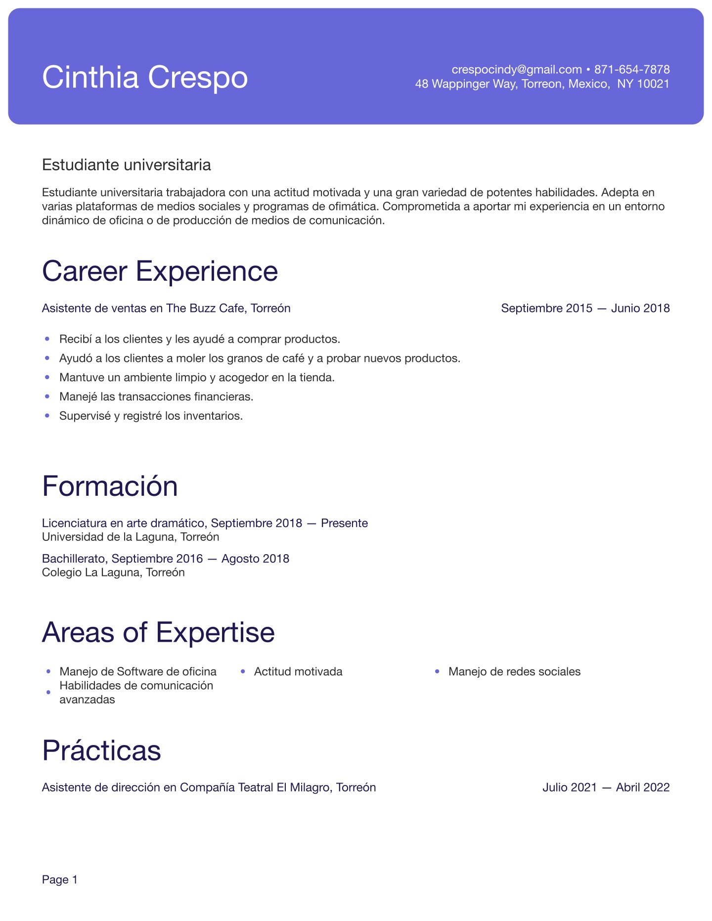 Modelo De Curriculum Vitae Mexico Modelo De Curriculum Vitae